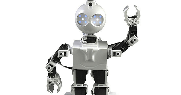 The Lie Detector Robot