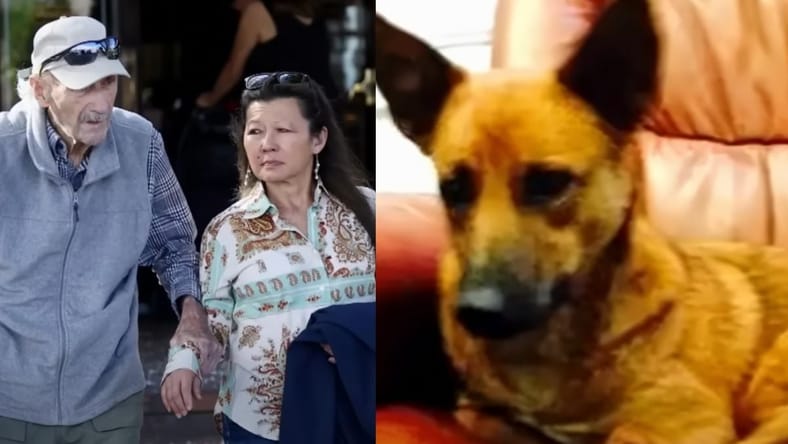 Gene Hackman's Poor Dog's Cause Of Death Revealed in Tragedy