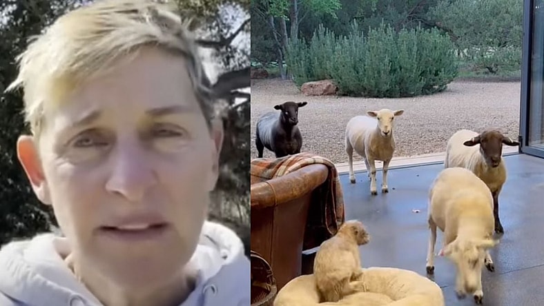 Ellen DeGeneres Reemerges After Fleeing America For The UK - 'To Be Fair...'