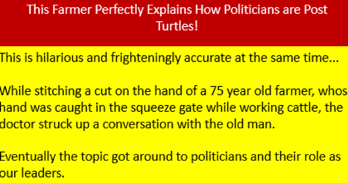 This Farmer Perfectly Explains How Politicians are Post Turtles!