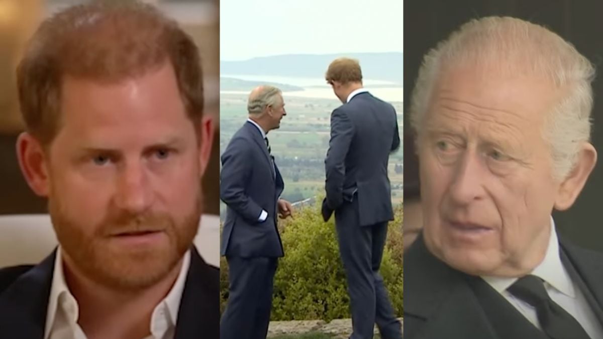 New Details Emerge After Prince Harry Meets With King Charles For First ...