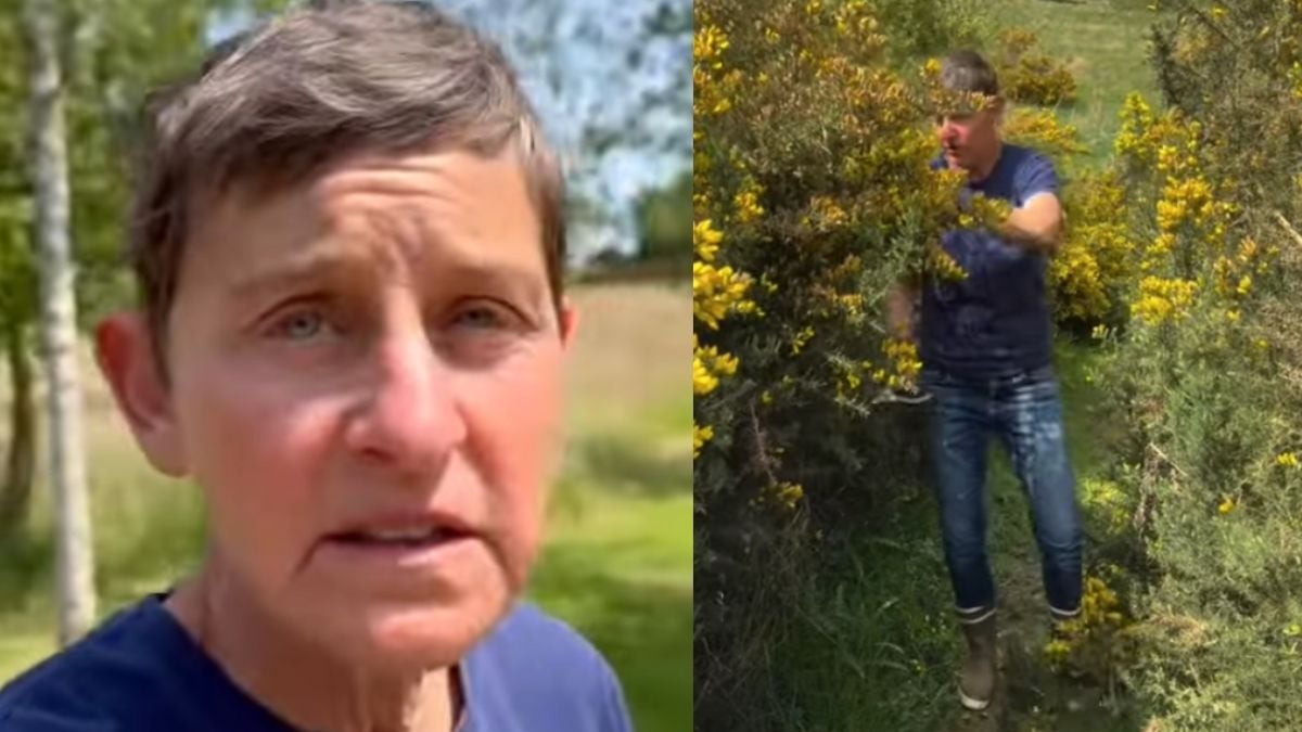 Here's The Real Reason Ellen DeGeneres Is Returning To America